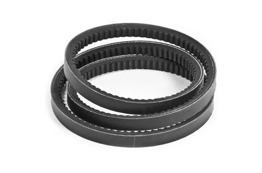 Mase - Belt - 70196 | Mase | Bottom Line | Isle of Man