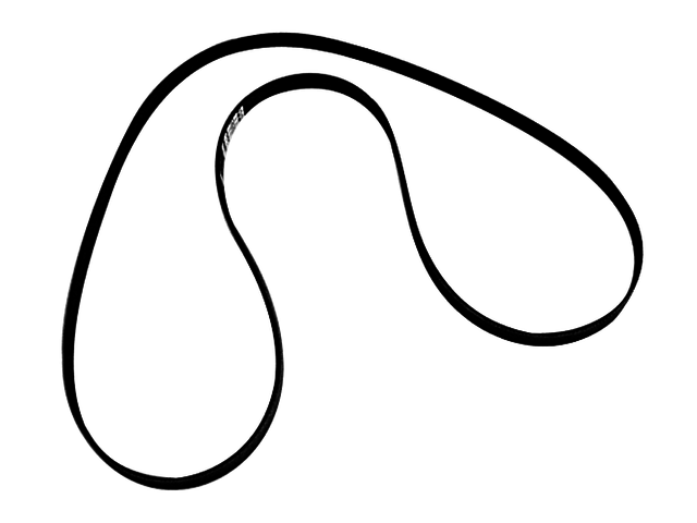 MerCruiser CMD - ALTERNATOR BELT 2.0L - Quicksilver - 57-879172120 ...